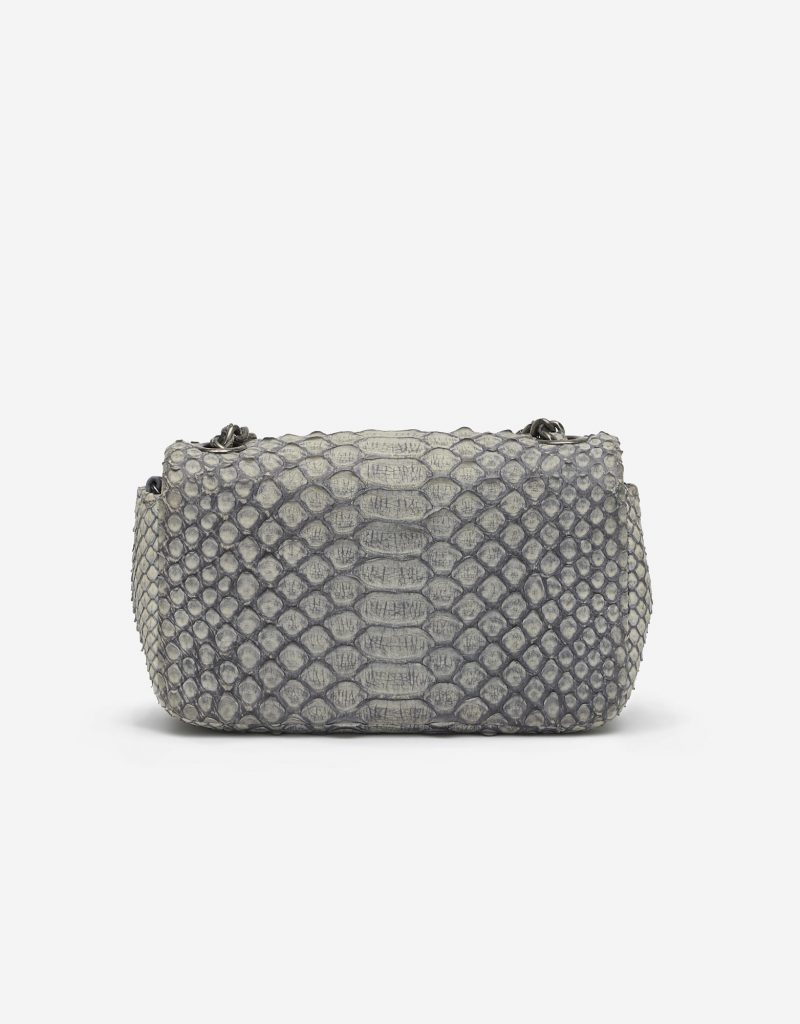 Chanel Timeless Extra Mini Python Grey | SACLÀB