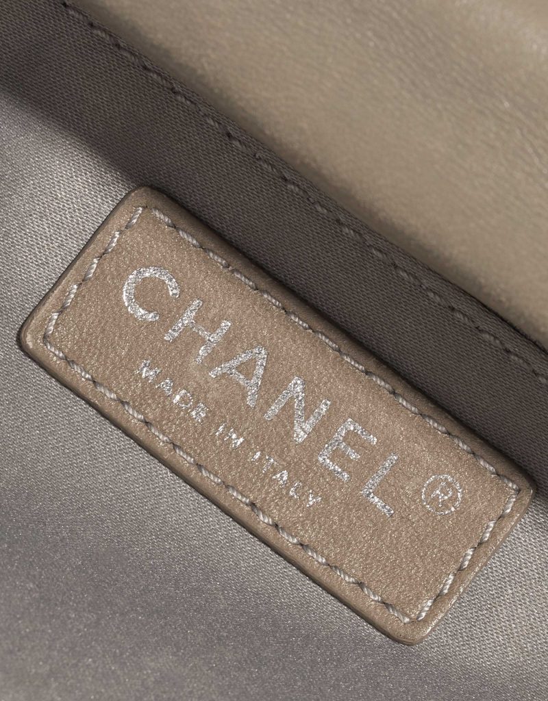 Chanel Timeless Medium Python Grey | SACLÀB