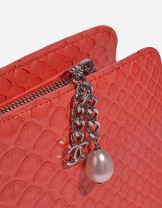Chanel Clutch Python Coral | SACLÀB