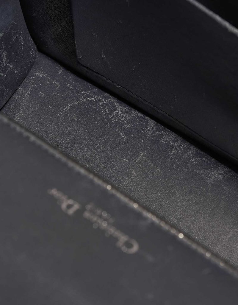 Dior Diorama Medium Patent Silver | SACLÀB