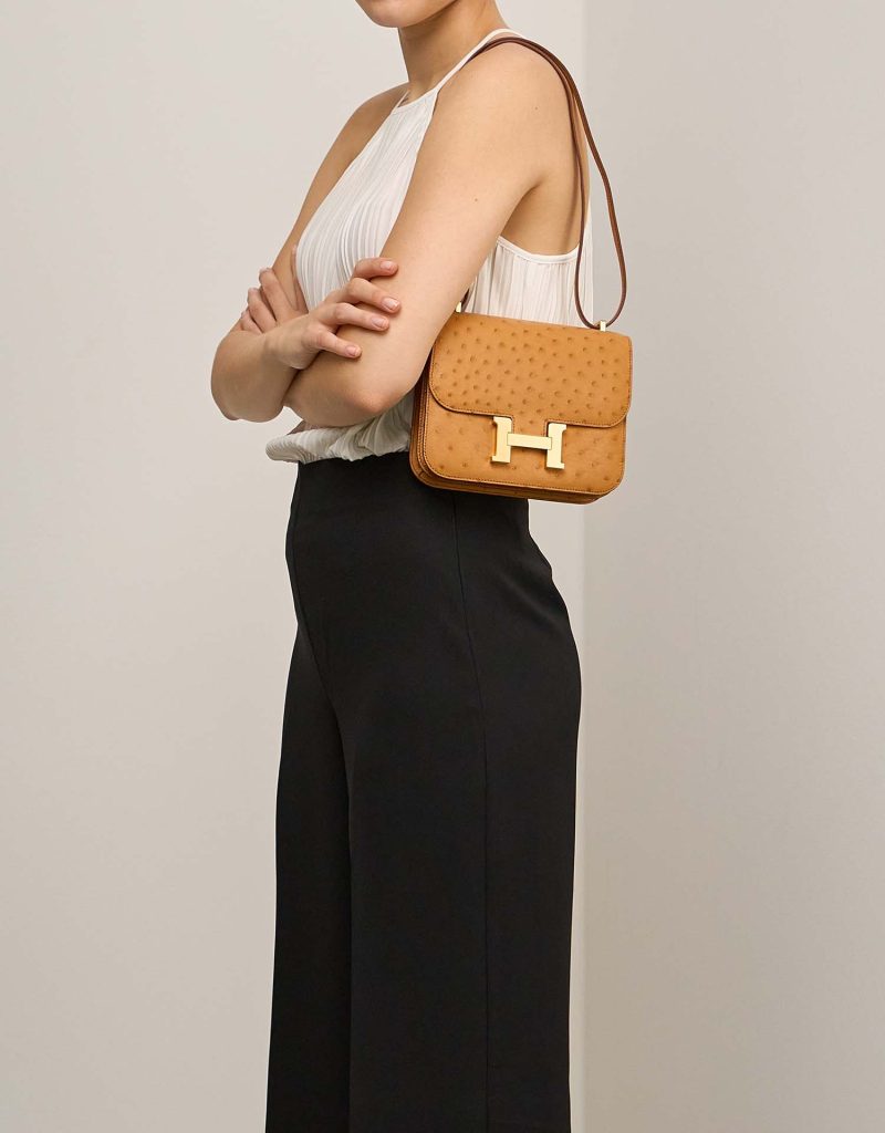 The Hermès Constance Bag: History, Sizes, Pricing | SACLÀB