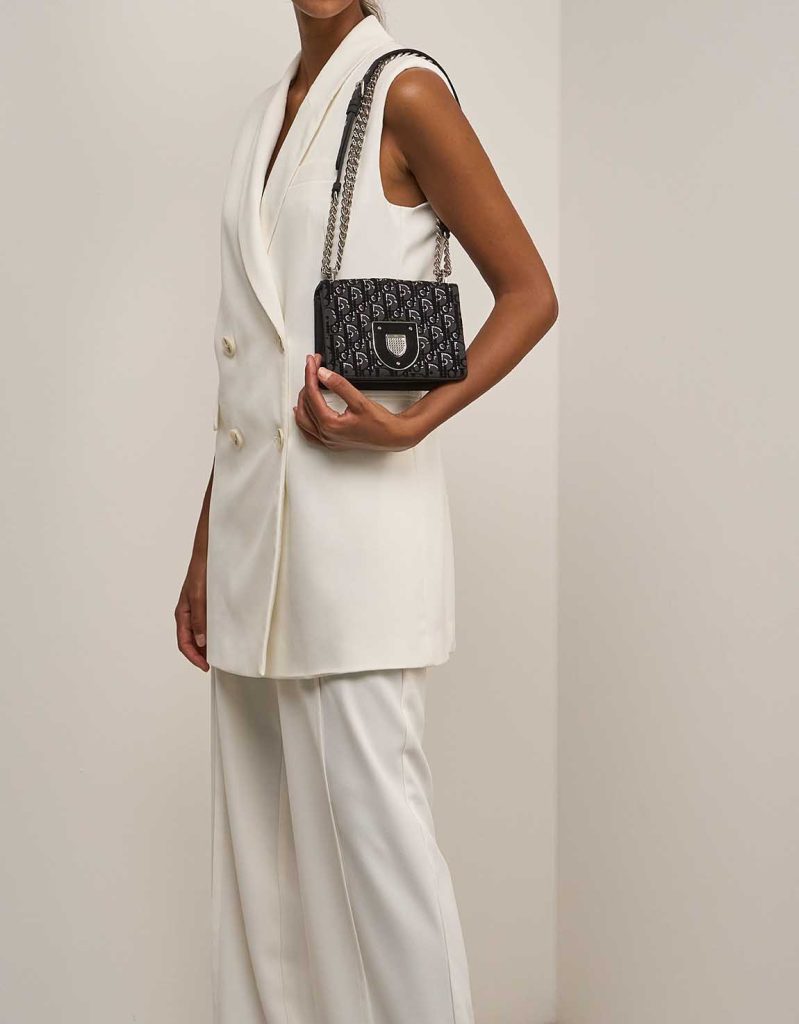 Dior Diorama Medium Calf Gray | SACLÀB