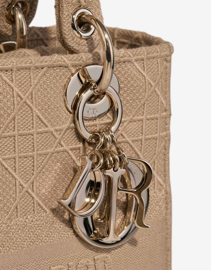 Dior Diorama Medium Calf Gray | SACLÀB