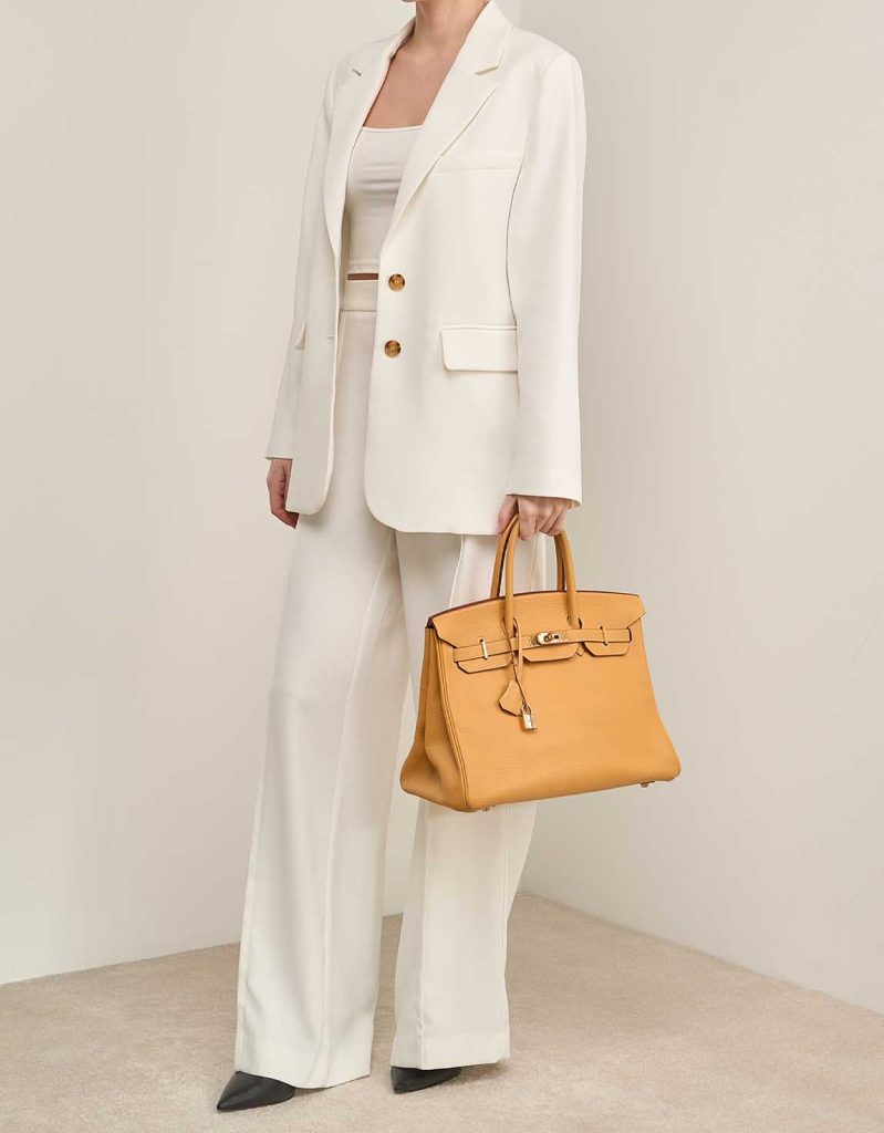 The Most Popular Hermès Birkin Bags for Men | SACLÀB